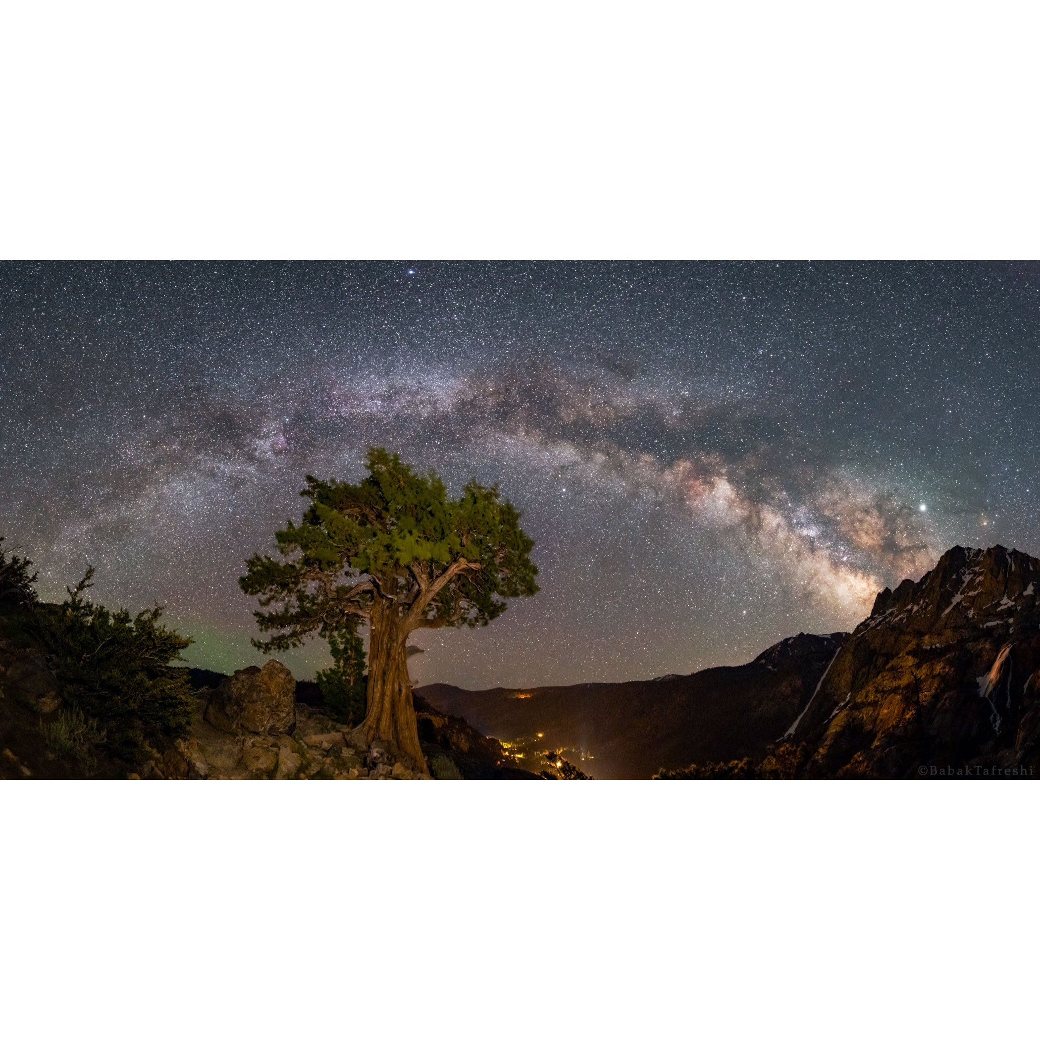 Juniper View of the Galaxy | Babak Tafreshi Photography