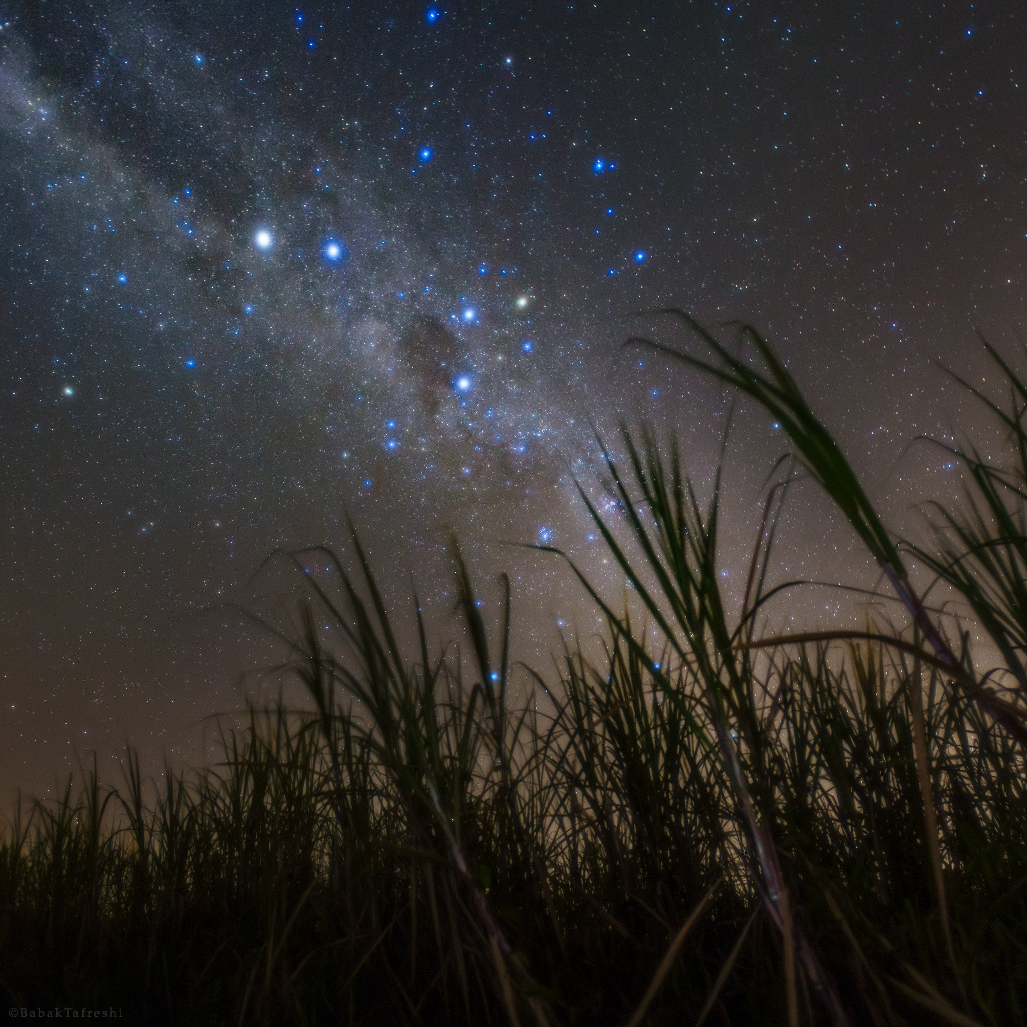 The Southern Cross in the Brazil Sky | Babak Tafreshi Photography