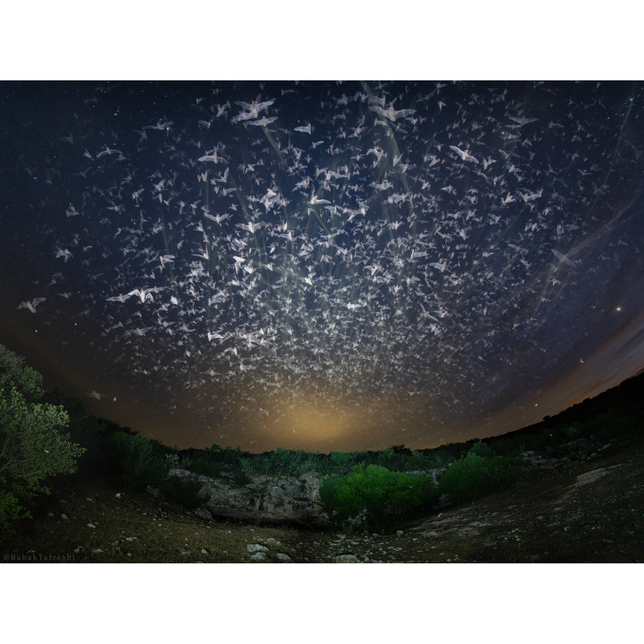 Bat Storm | Babak Tafreshi Photography